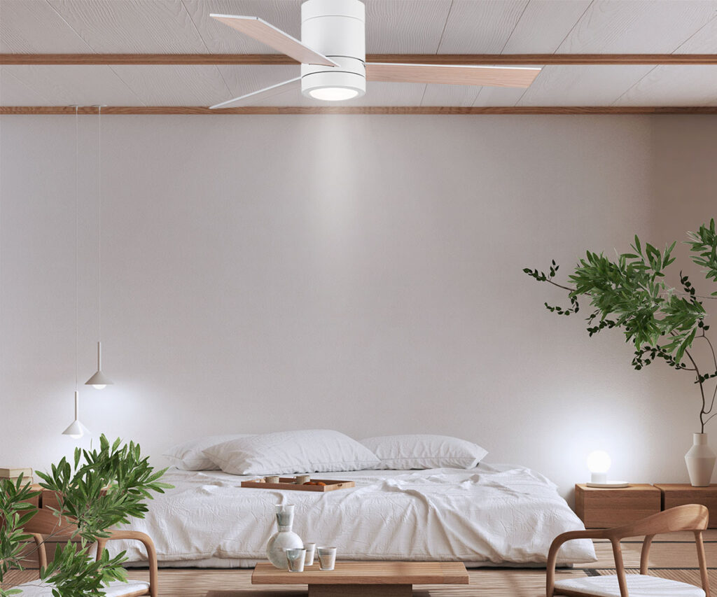 Fans – Luma Lighting